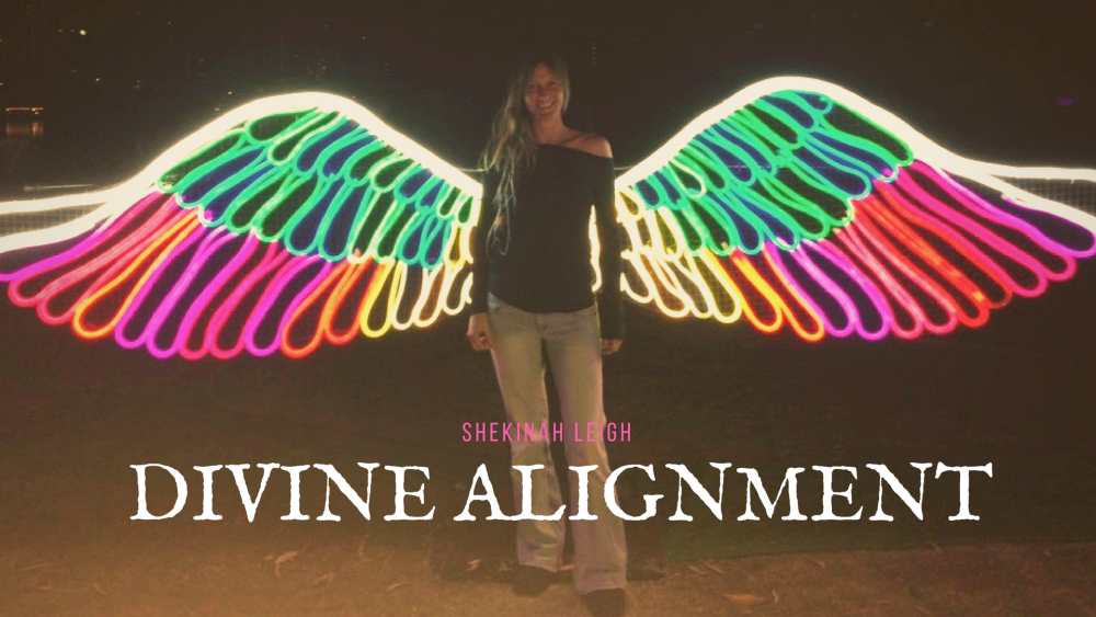 Why Divine Alignment? - Shekinah Leigh